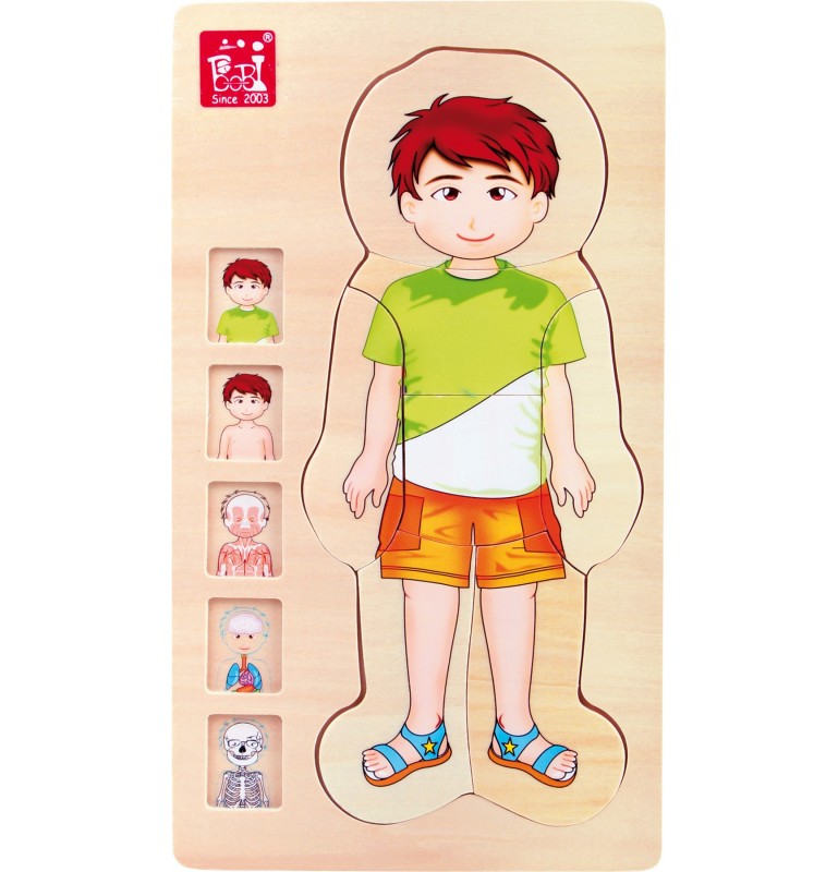 Human body puzzle 5 levels