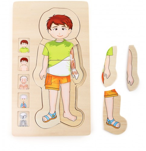 Human body puzzle 5 levels