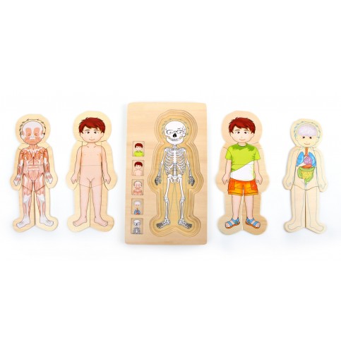 Human body puzzle 5 levels